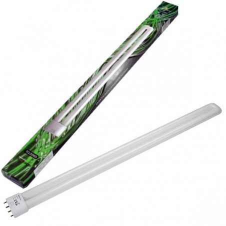 Neon 55w Croissance 6500°K